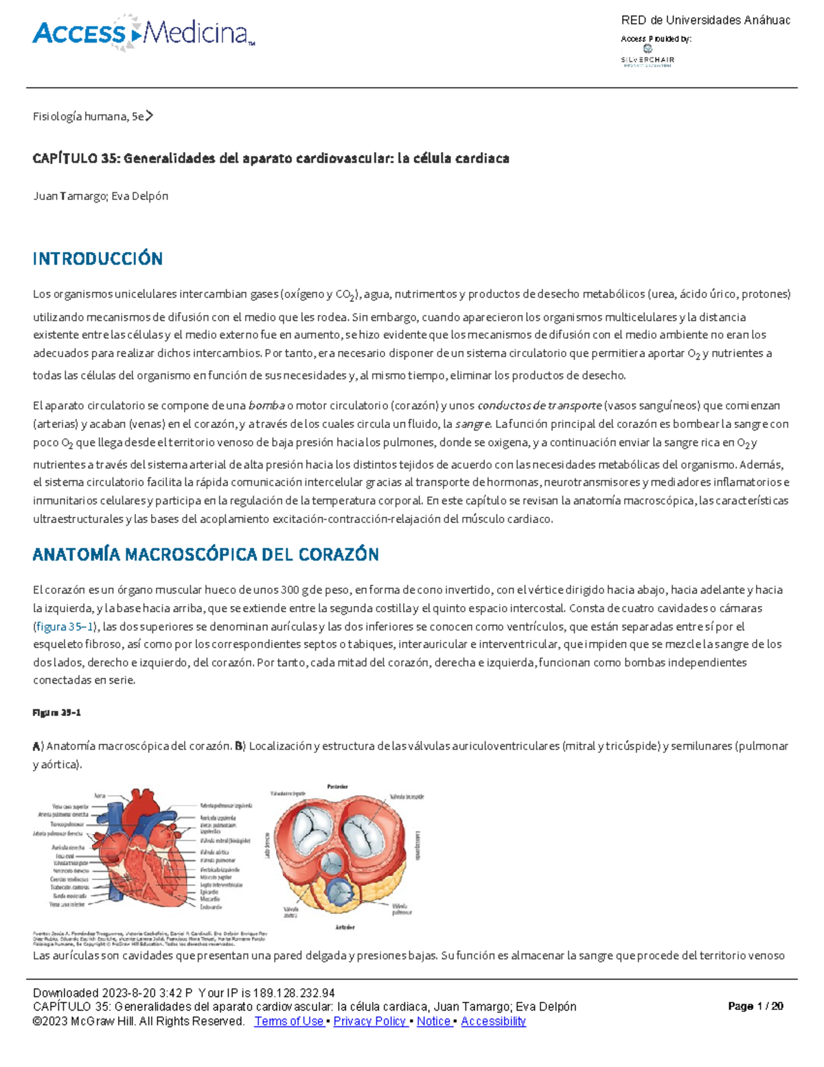 Capítulo 35 Generalidades del aparato cardiovascular la célula cardiaca ...