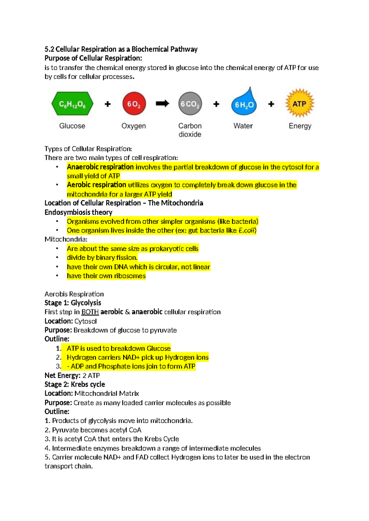 Cellular Respiration as a Biochemical Pathway - Types of Cellular ...