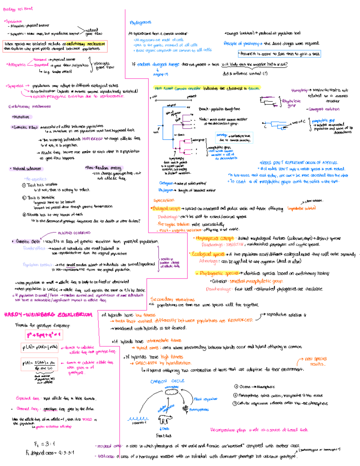 Biol 121 Final Exam Study Sheet - Biology 121 Final ·speciationintric ...