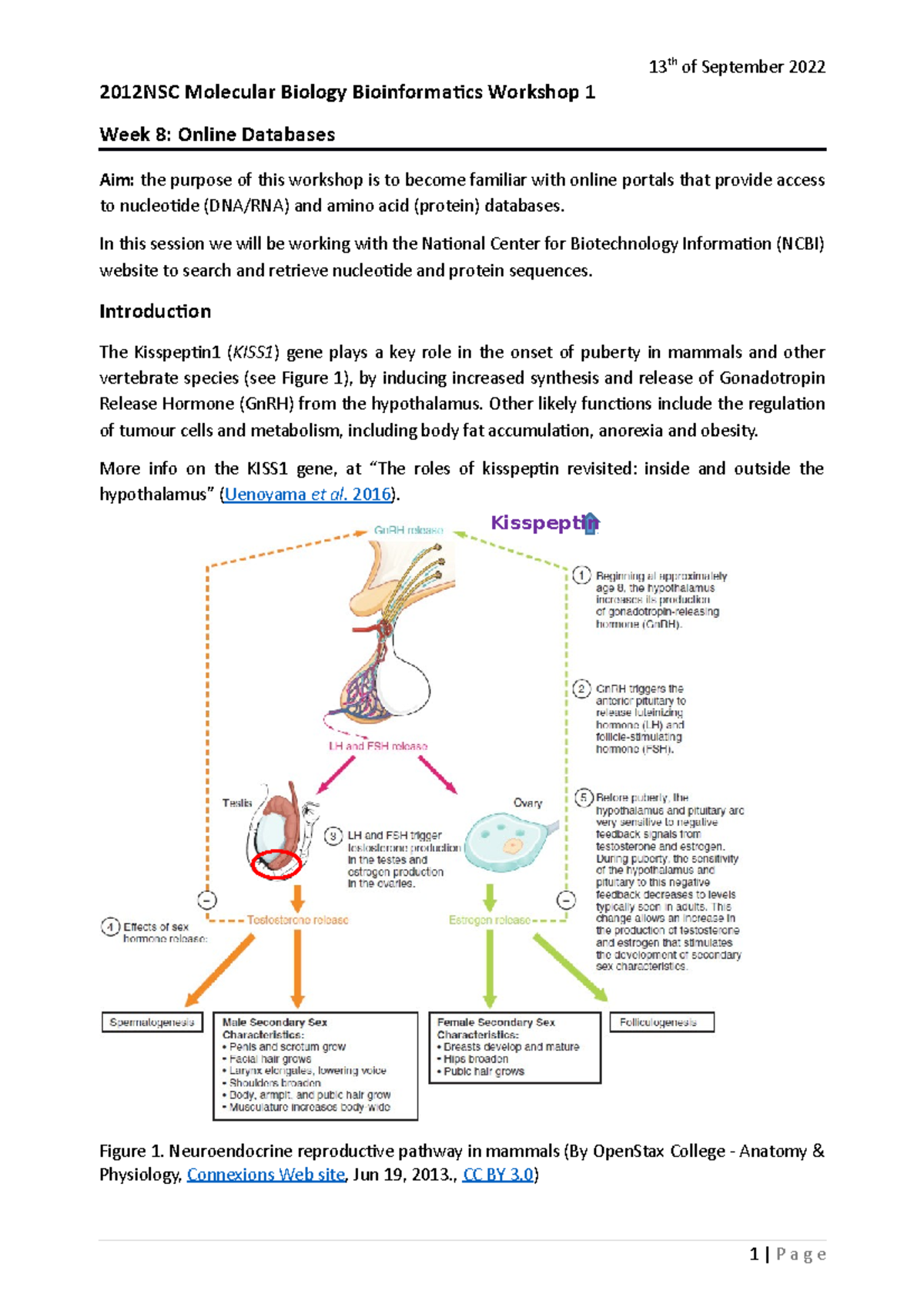 2012 NSC Bioinformatics Workshop 1 Databases 2022 - 2012NSC Molecular ...