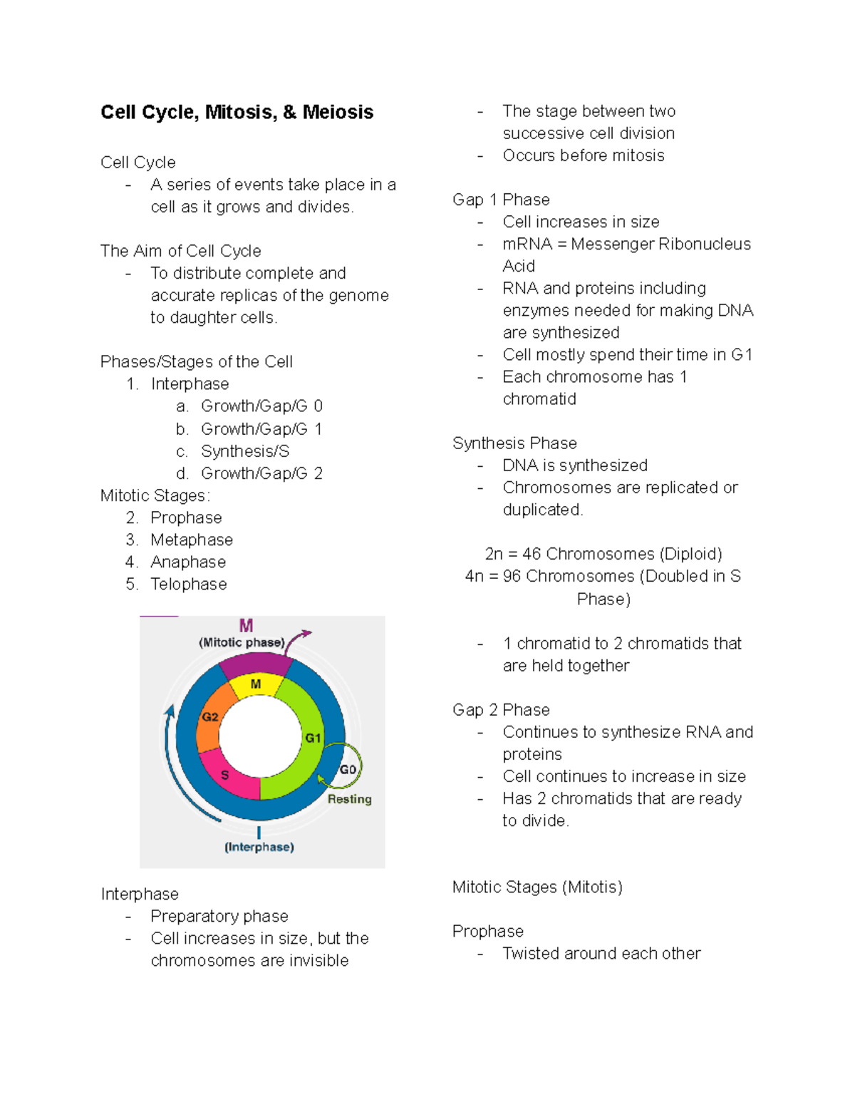 Cell Cycle, Mitosis, & Meiosis - Cell Cycle, Mitosis, & Meiosis Cell ...