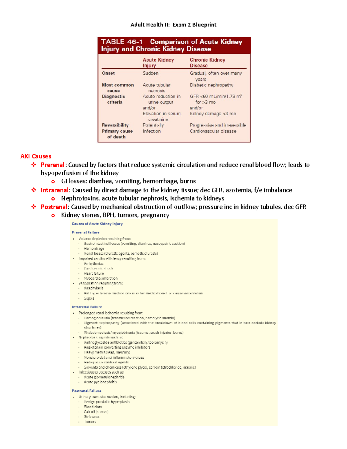 AH 2 Exam 2 Blueprint - Study notes for Exam 2 Adult Health 2: Renal ...