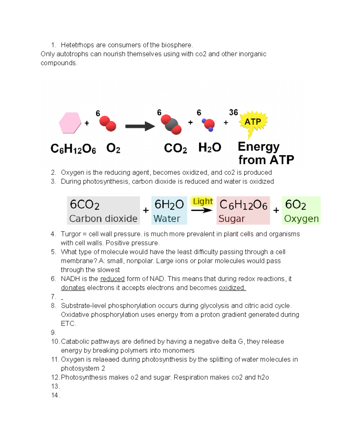 Bio test 2 review - Lab assignment for bio 111 - Hetetrhops are ...