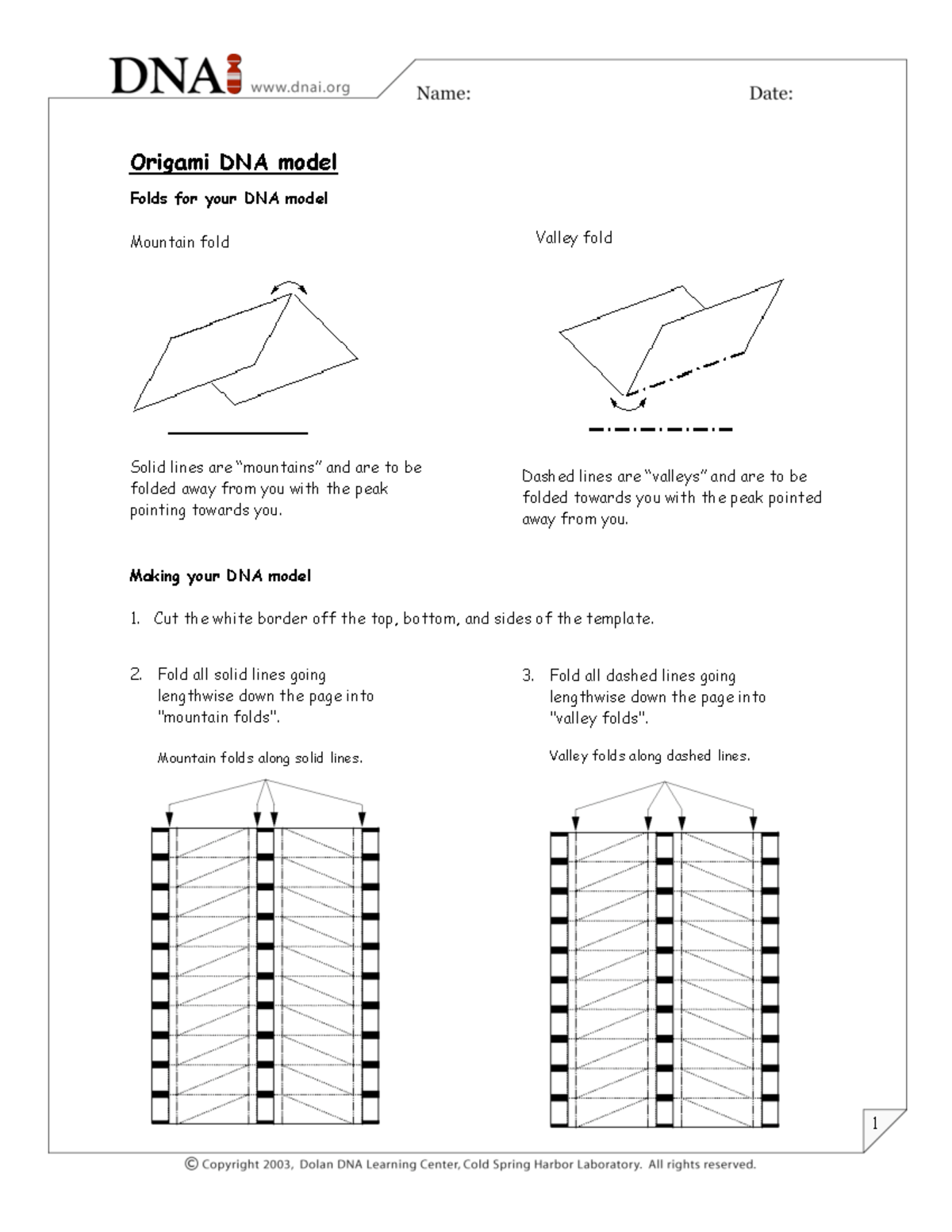 Origami inst - Origami DNA model Folds for your DNA model Mountain fold ...