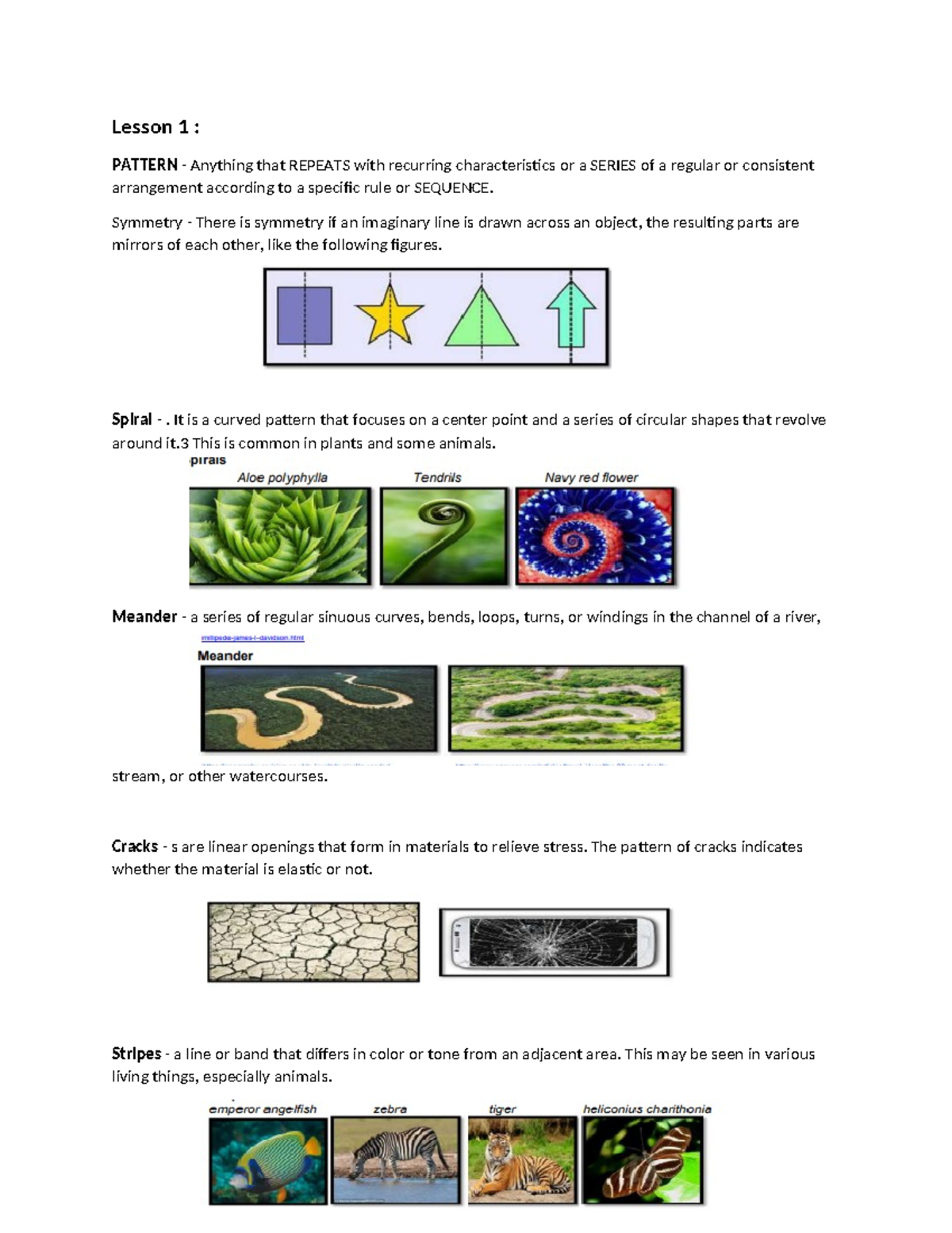 Mmw reviewer module 1 - n/o - Lesson 1 : PATTERN - Anything that ...
