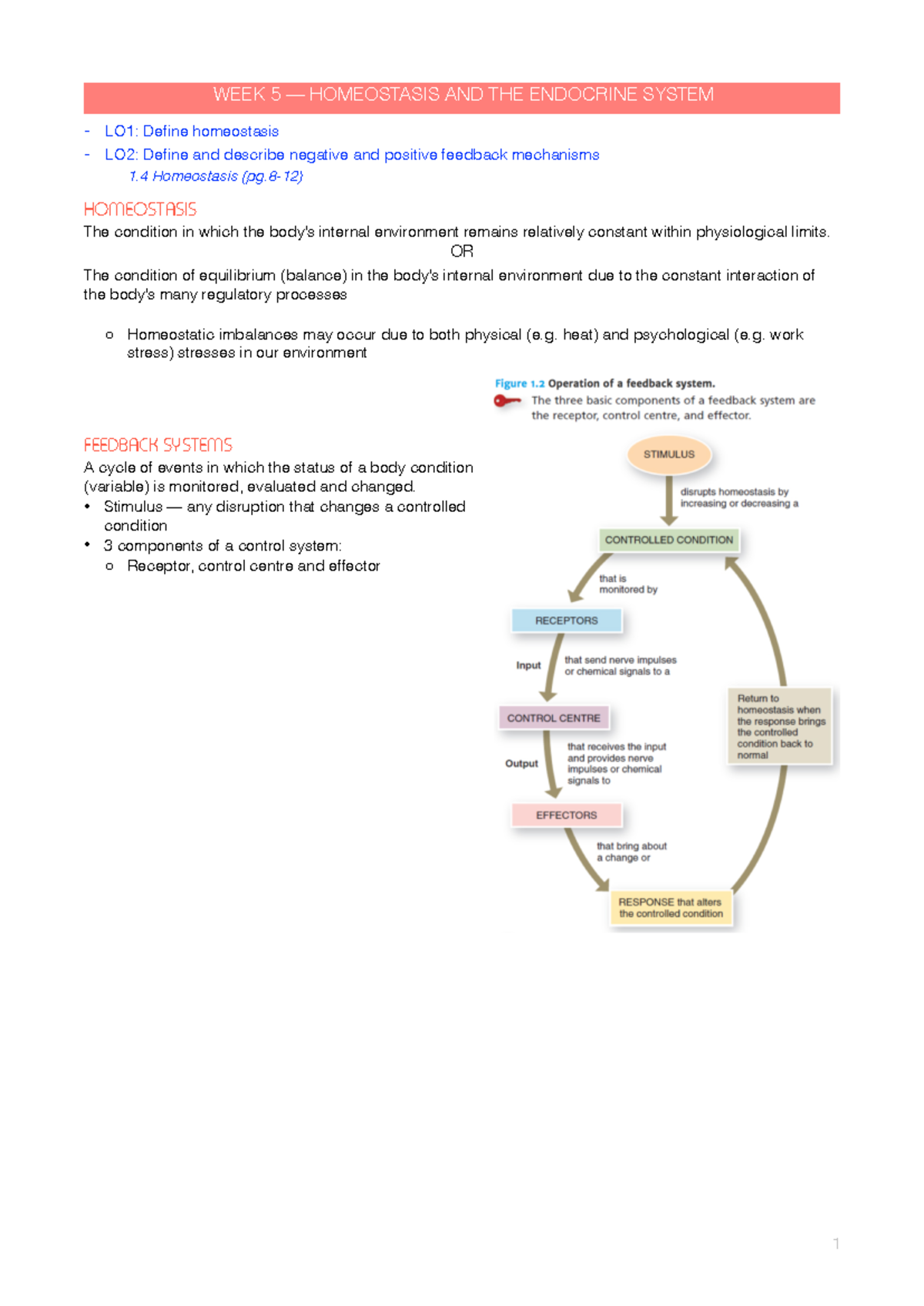week 5 - homeostasis and the endocrine system - WEEK 5 HOMEOSTASIS AND ...