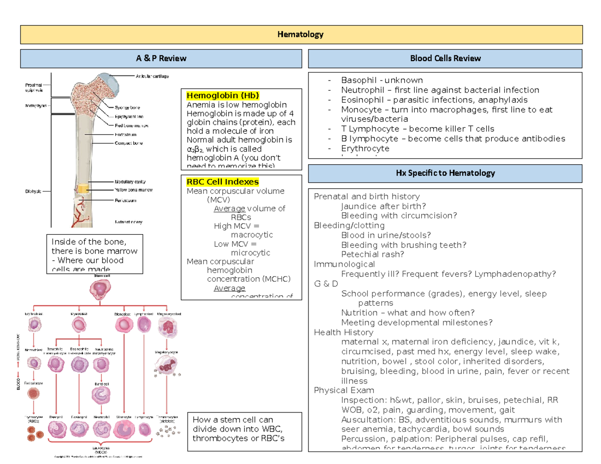 Hematology concept map - Prenatal and birth history Jaundice after ...