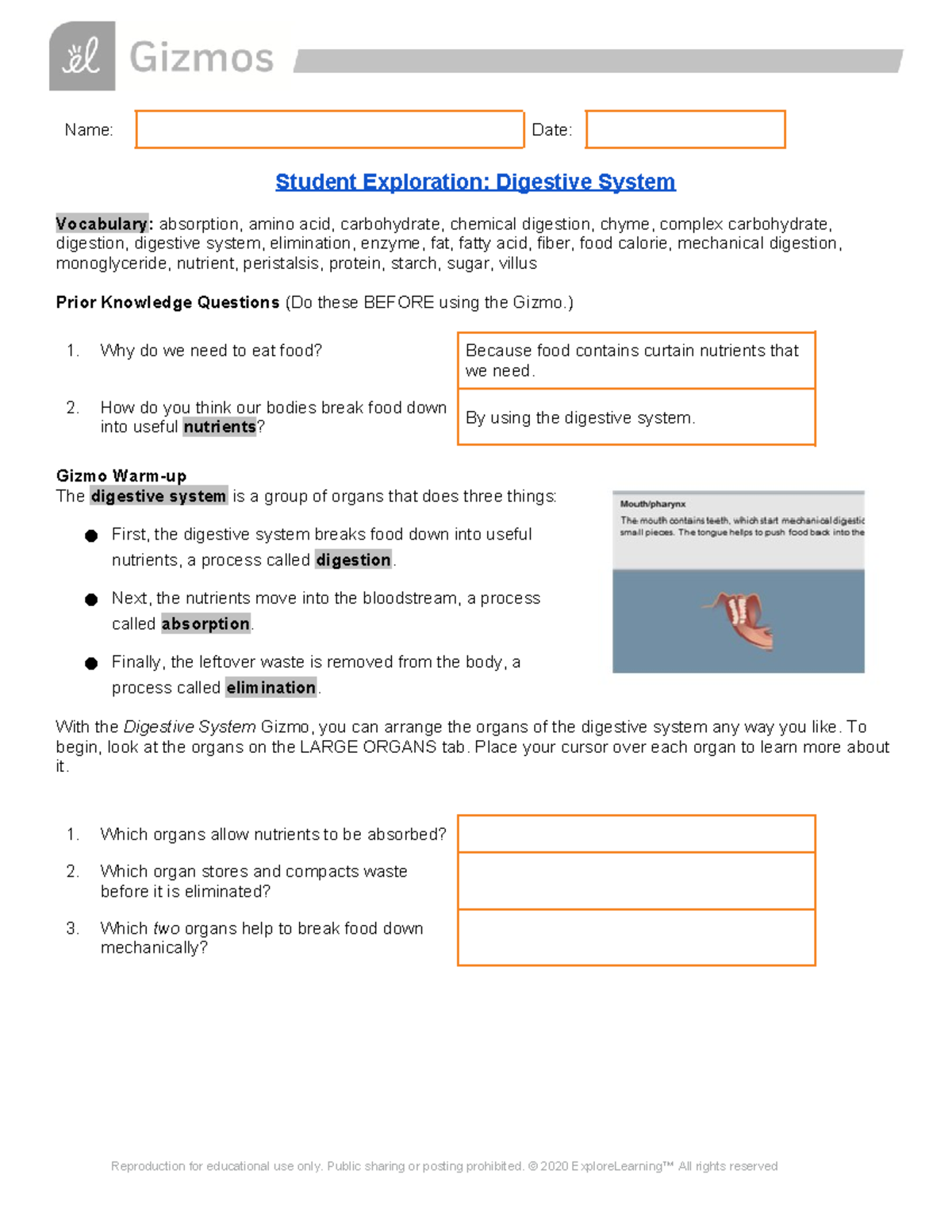 Samir Del Cid Martinez - Digestive System Gizmo - Name: Date: Student ...