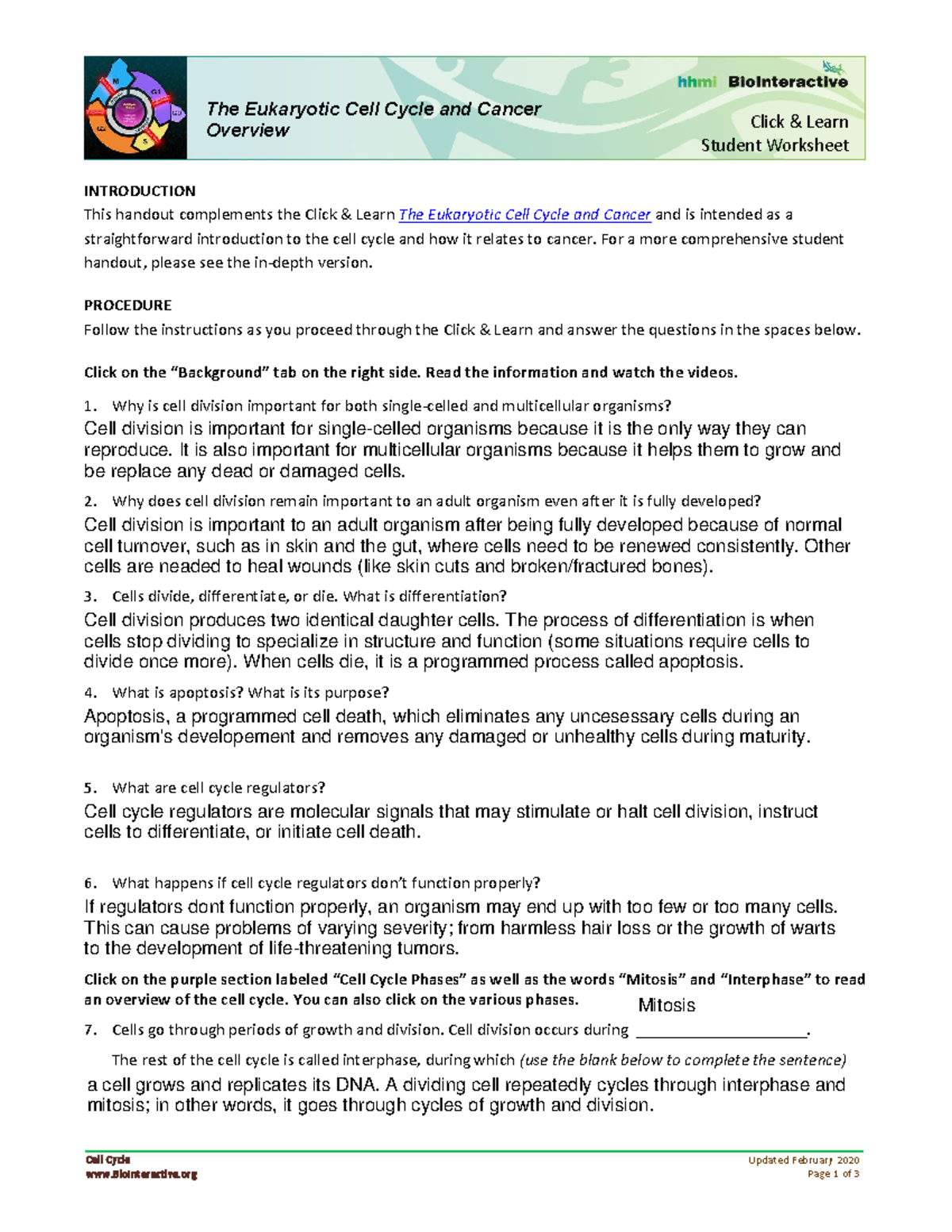 Cell Cycle Overview Completed - Click & Learn Student Worksheet The ...