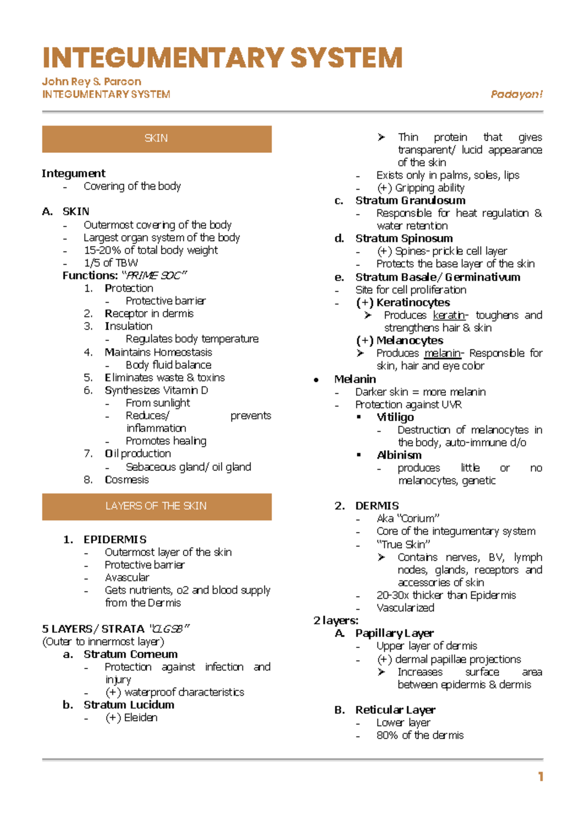 Integumentary - davgadgd - John Rey S. Parcon INTEGUMENTARY SYSTEM ...