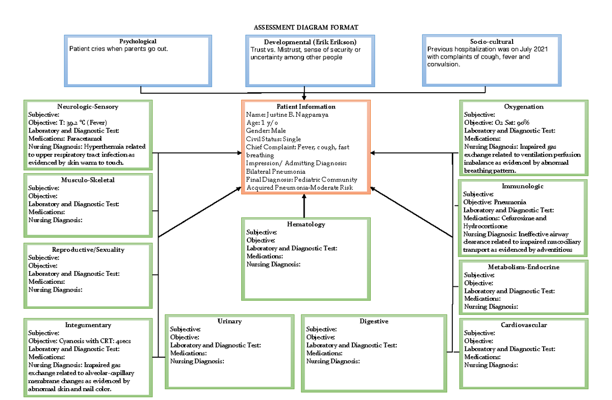 Week 7 Assessment Diagram - ASSESSMENT DIAGRAM FORMAT Psychological ...