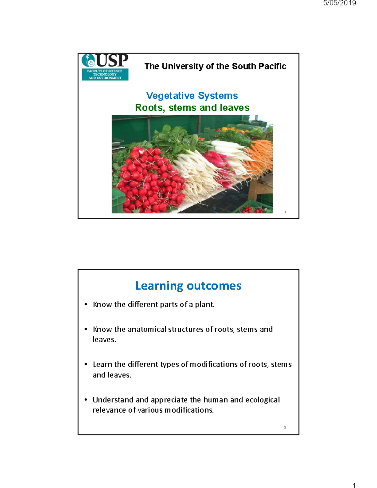 Lecture - Roots, stems and leaves - The University of the South Pacific ...