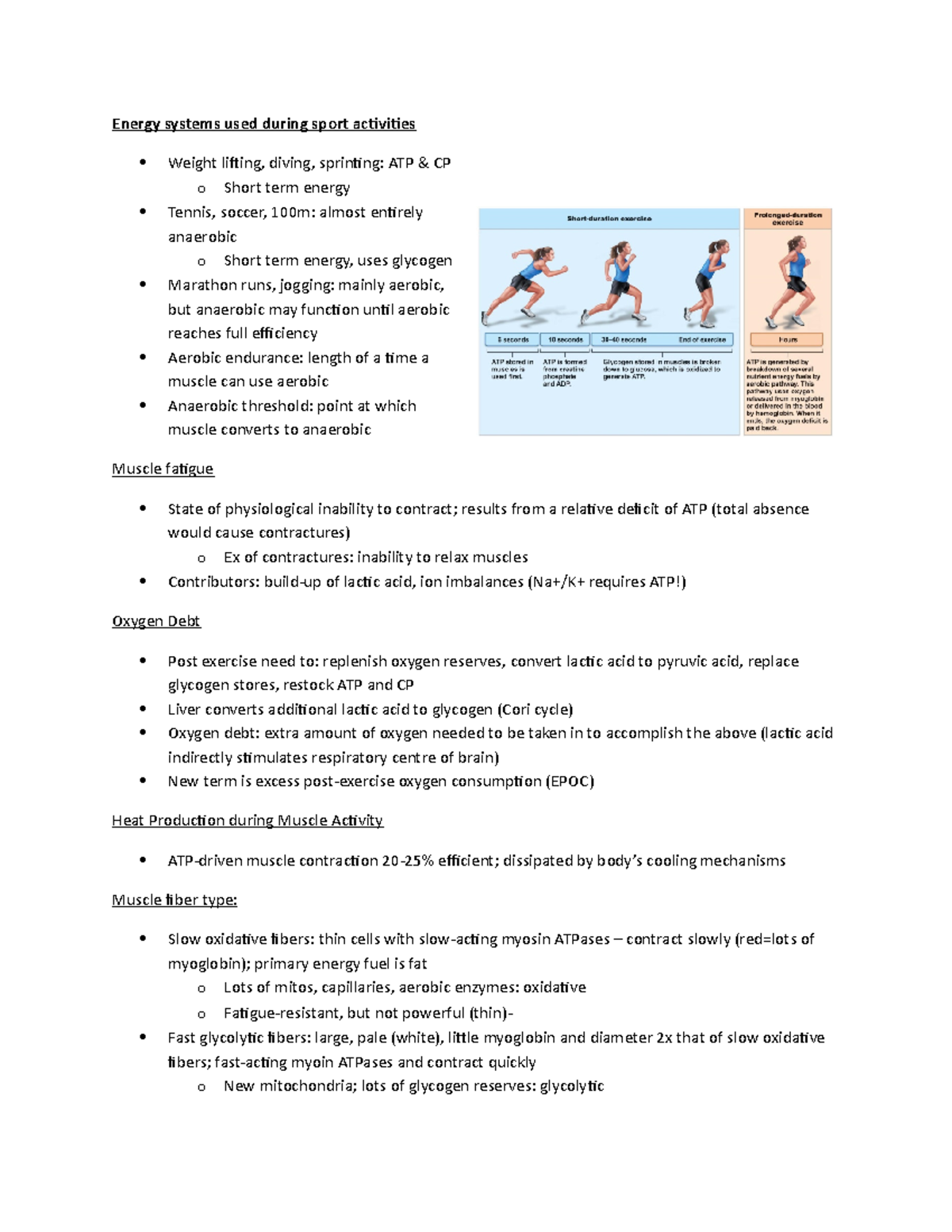 Lecture notes - energy systems used during sport activities - Energy ...