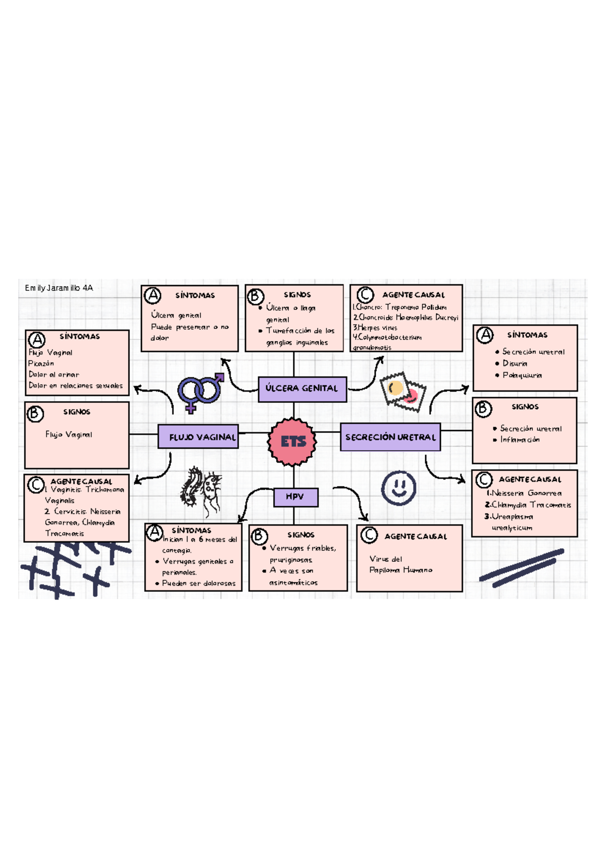 ETS. Mapa conceptual - FLUJO VAGINAL SECRECIÓN URETRAL HPV SÍNTOMAS SIGNOS AGENTE CAUSAL ...