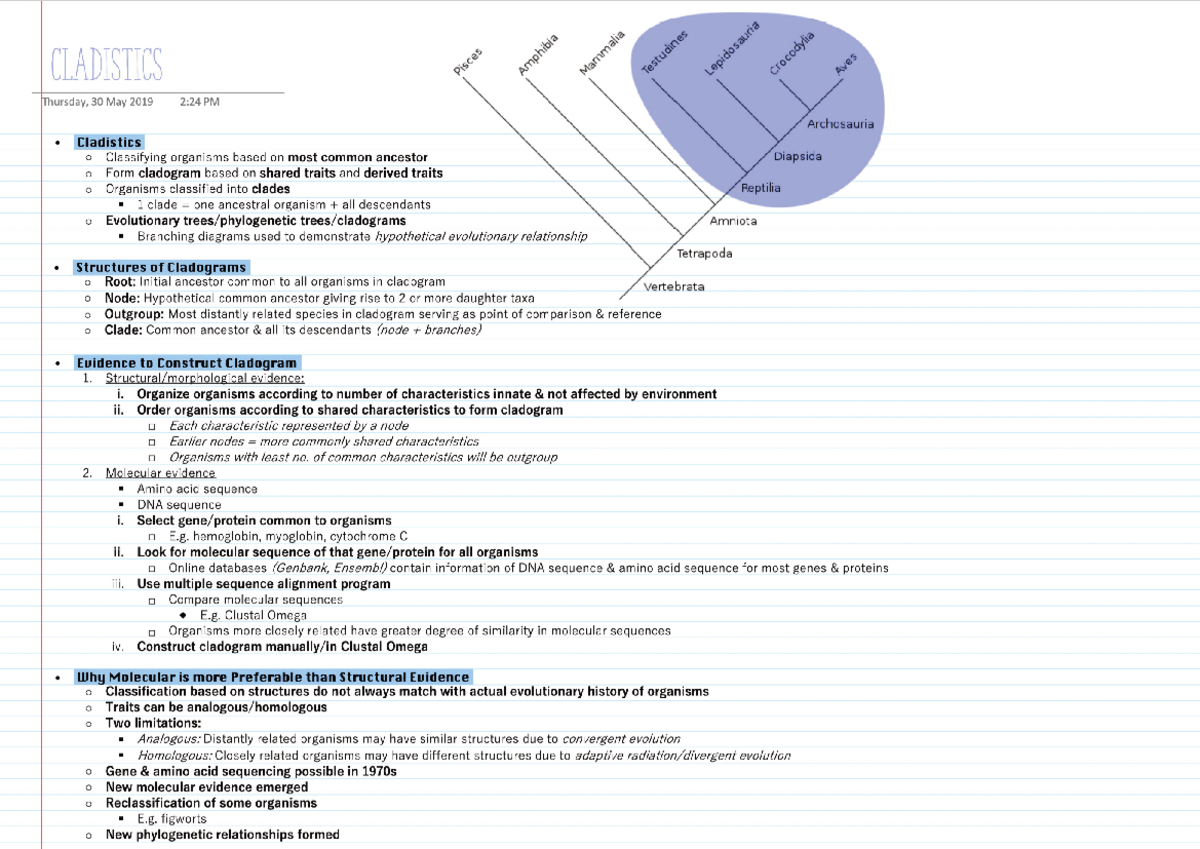 Life Module: Cladistics - Studocu
