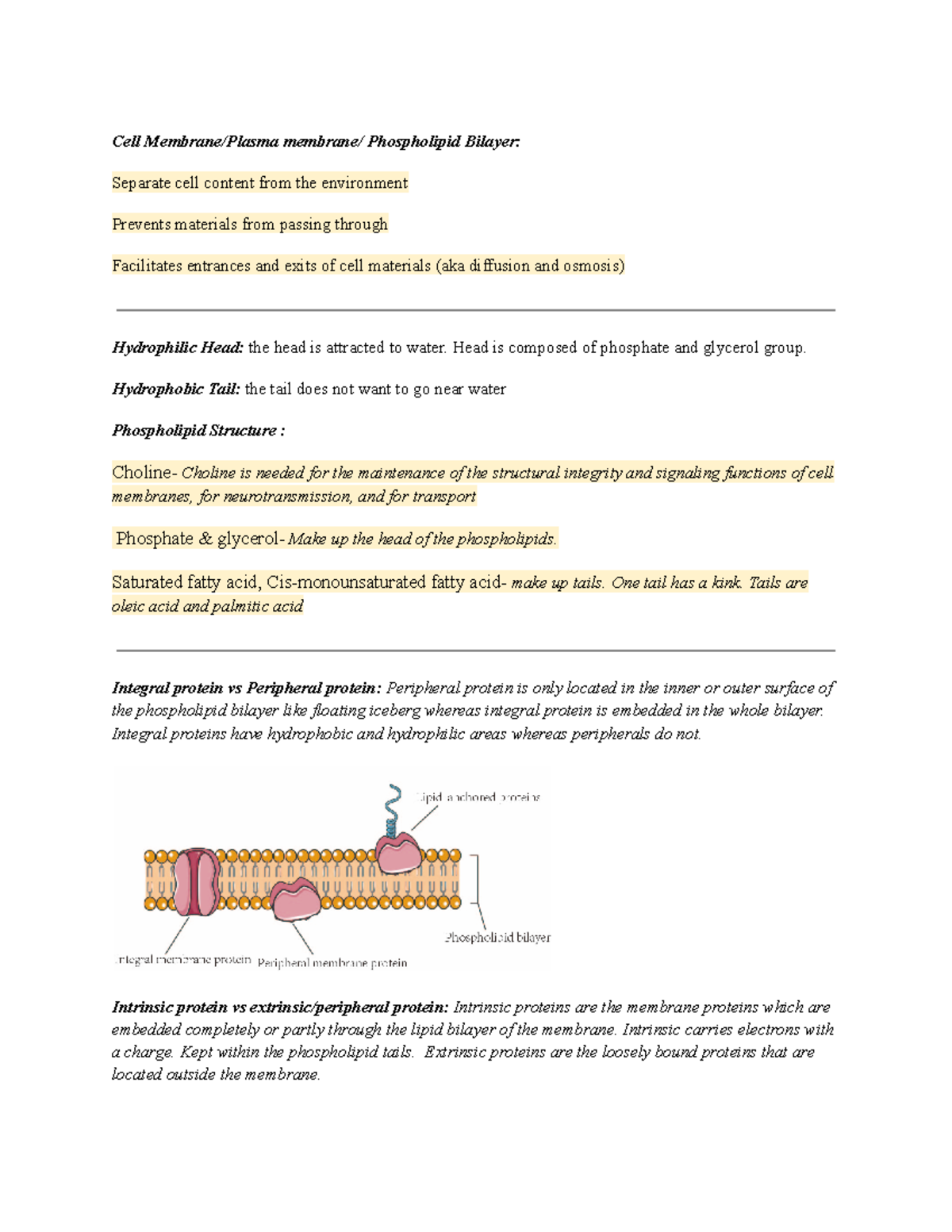 Cell Membrane Vocabulary, Basic Overview - Cell Membrane/Plasma ...