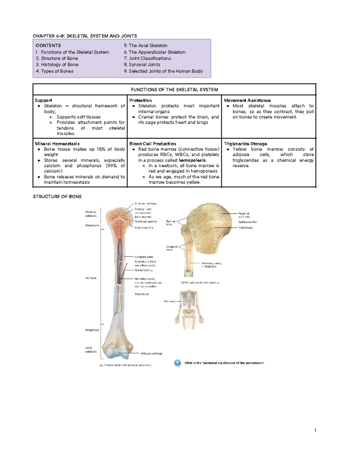 Chapter 6-8 Skeletal System - CHAPTER 6-8: SKELETAL SYSTEM AND JOINTS ...