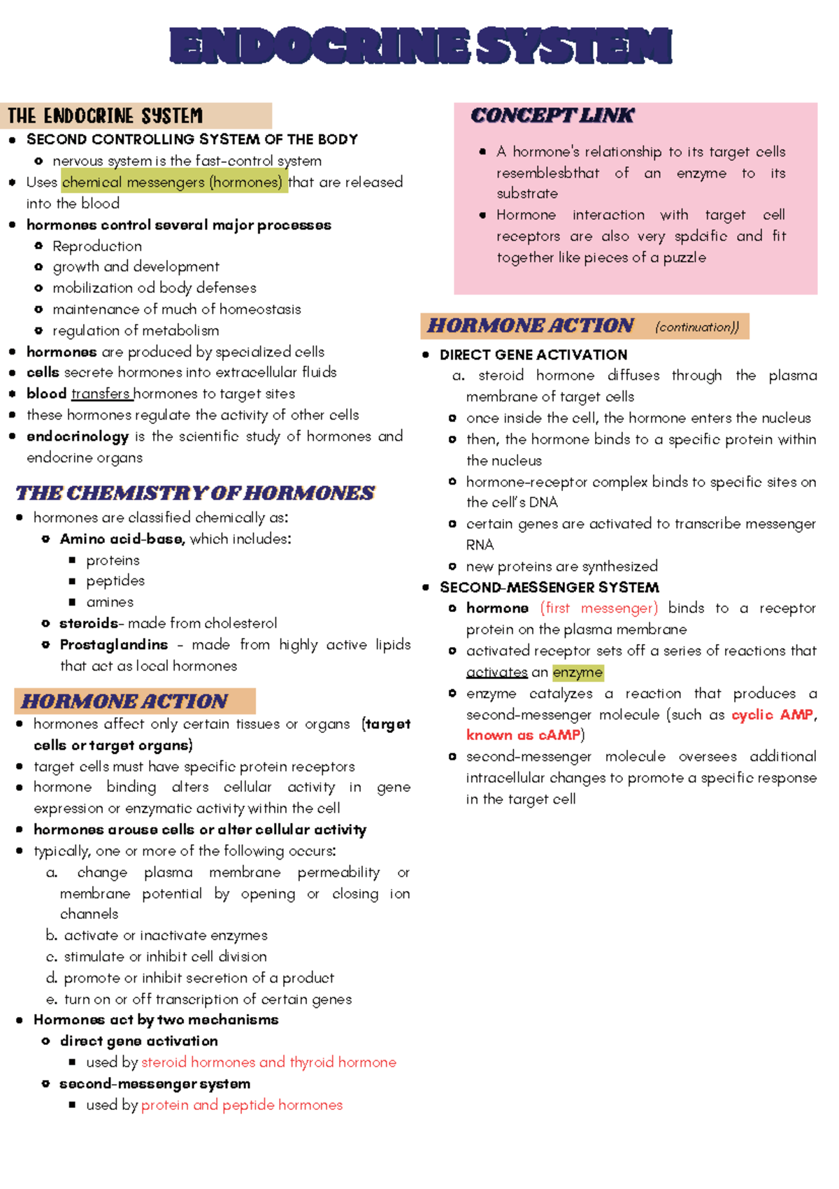 Edocrine System - ENDOCRINE SYSTEMENDOCRINE SYSTEM THE ENDOCRINE SYSTEM ...
