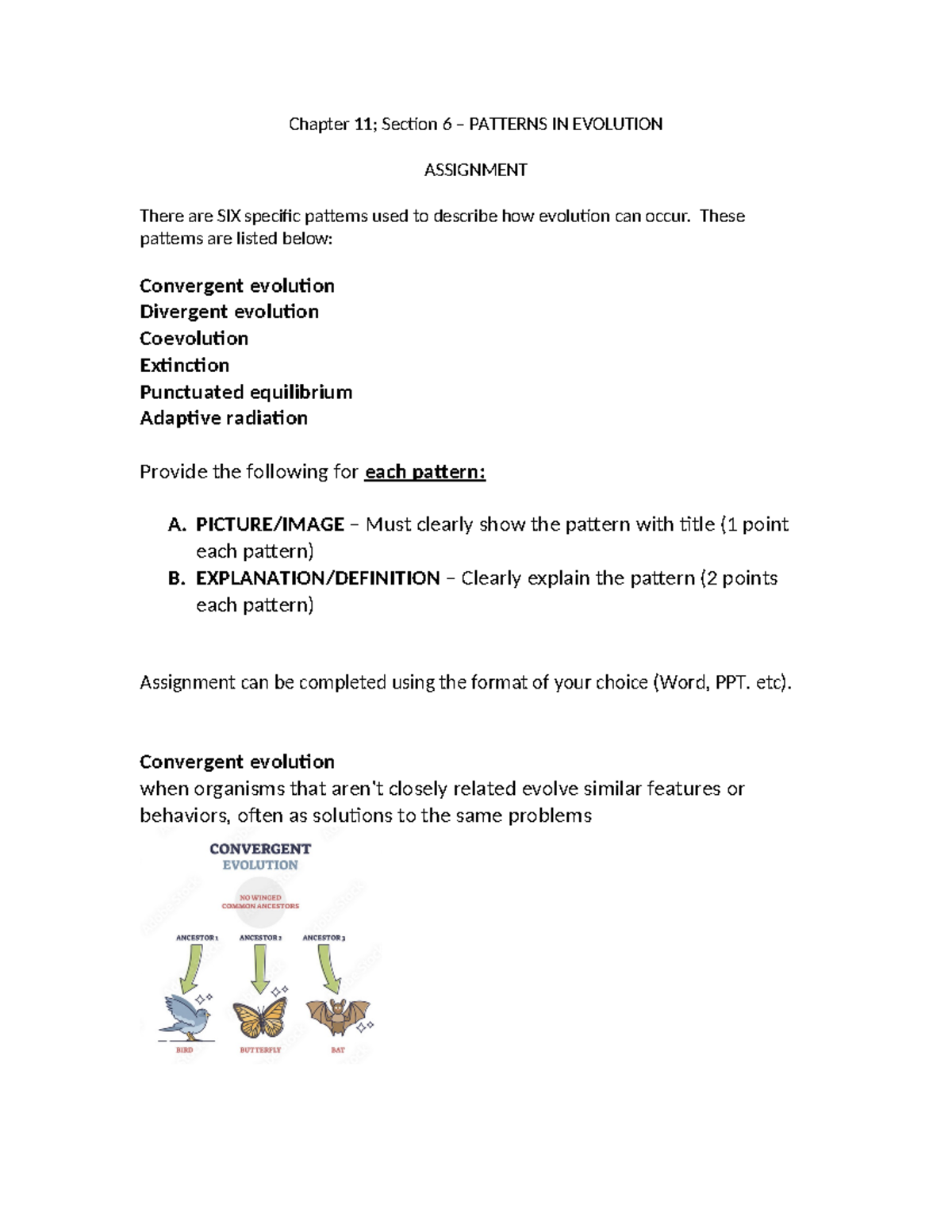 patterns in evolution - Chapter 11; Section 6 – PATTERNS IN EVOLUTION ...