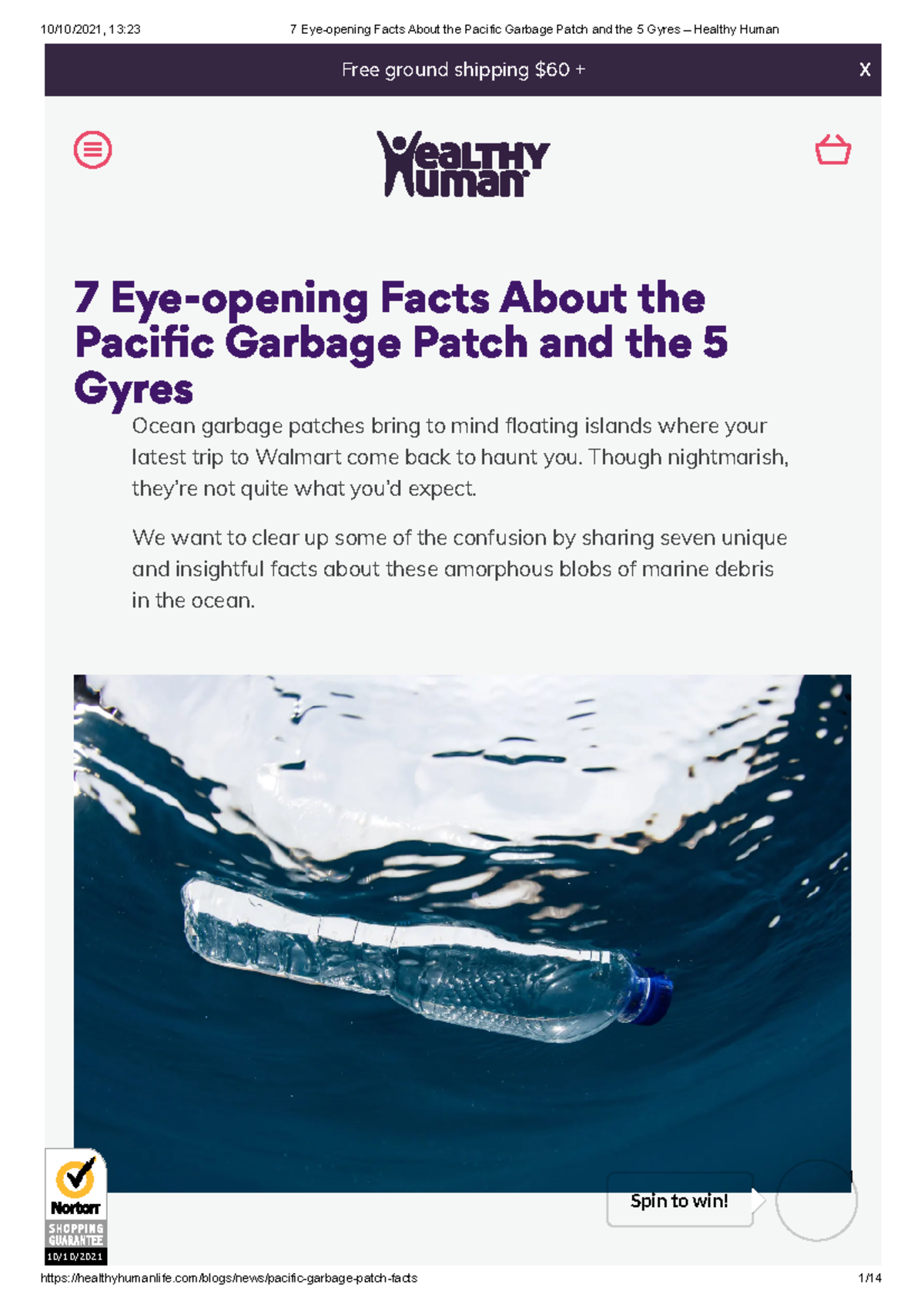 Part one ASSIGMENT - 7 Eye-opening Facts About the Pacific Garbage ...