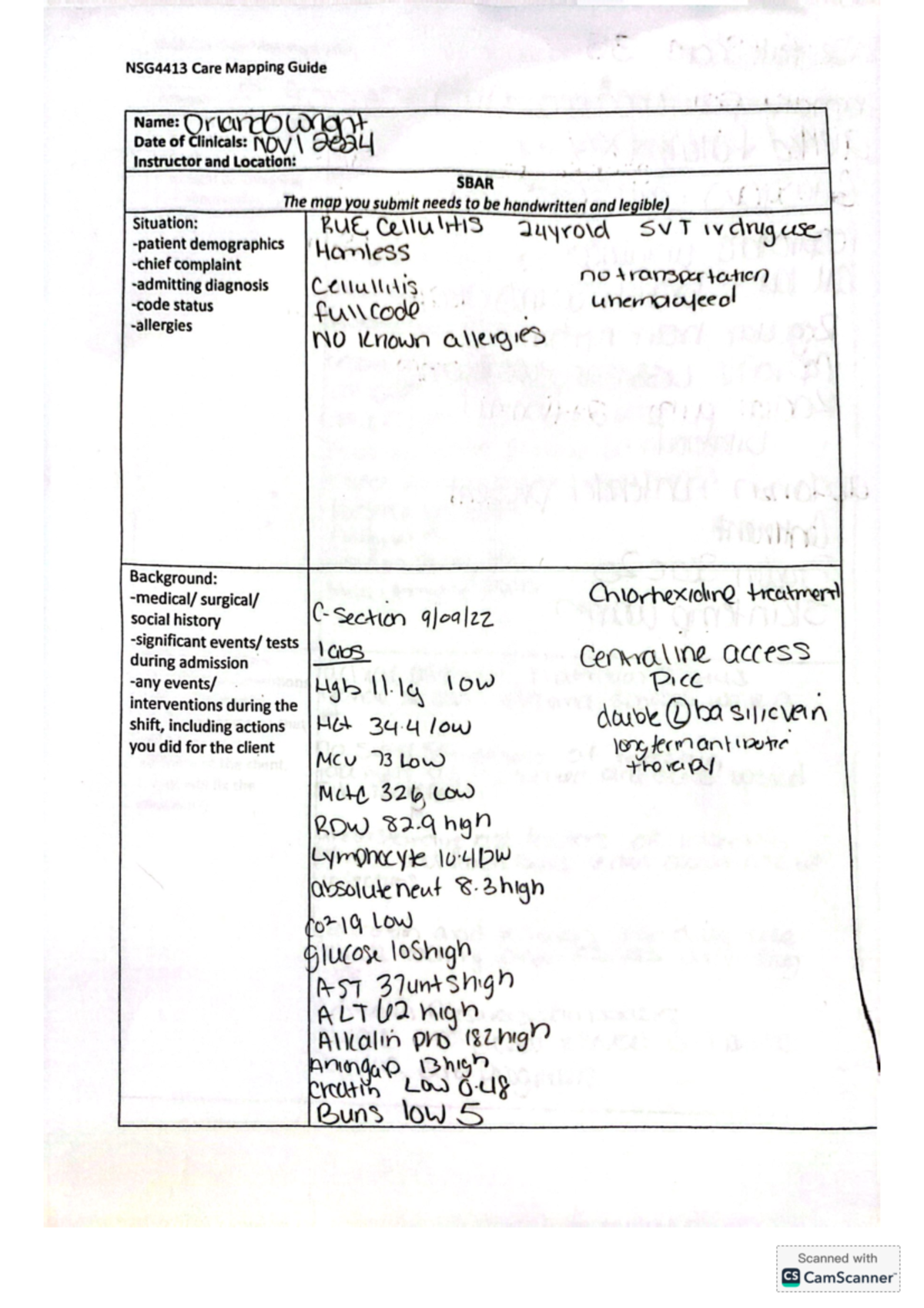 First clinical adult health - NSG4413 Care Mapping Guide N pa ofS TP RL ...