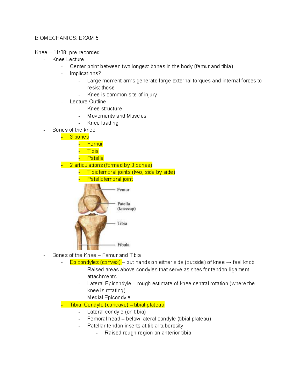 Biomechanics EXAM 5 and 6 (notes) - BIOMECHANICS: EXAM 5 Knee – 11/08 ...