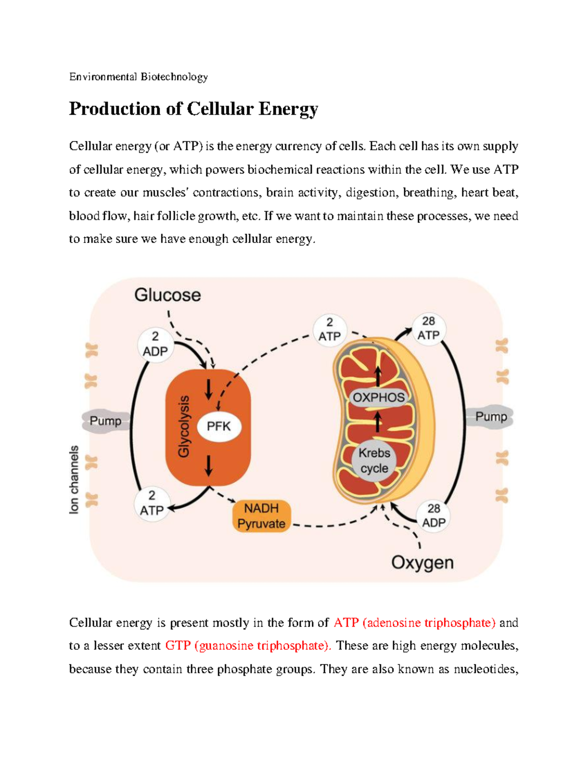 Production of Cellular Energy - Environmental Biotechnology Production ...