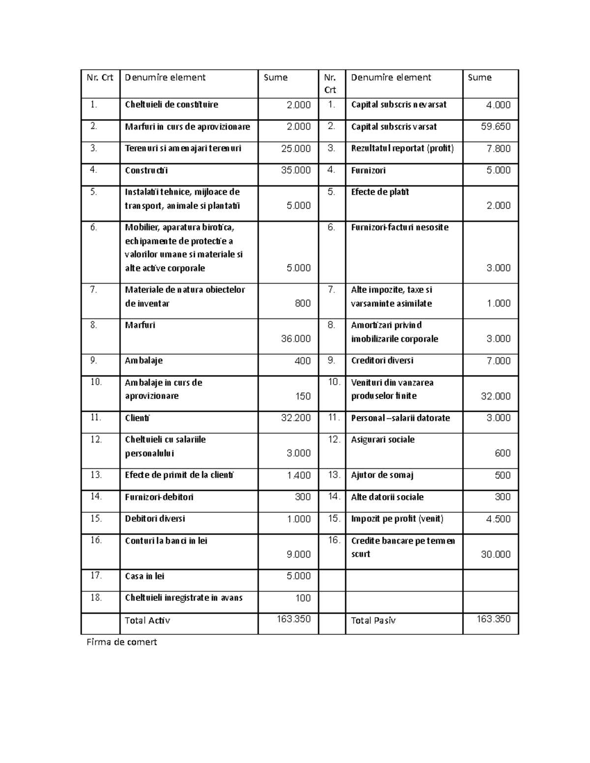 Bilant initial - proiect la contabilitate la informatica si engleza ...