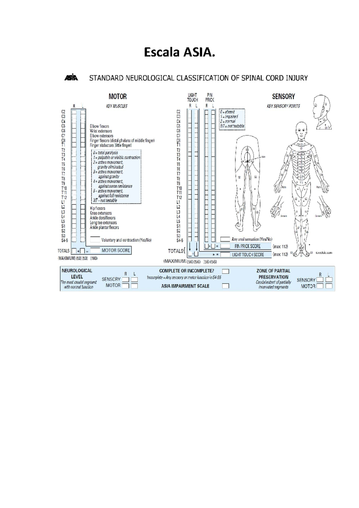 Neurofuncional+2 - matéria de aula - Fisioterapia Em Unidade Hospitalar ...