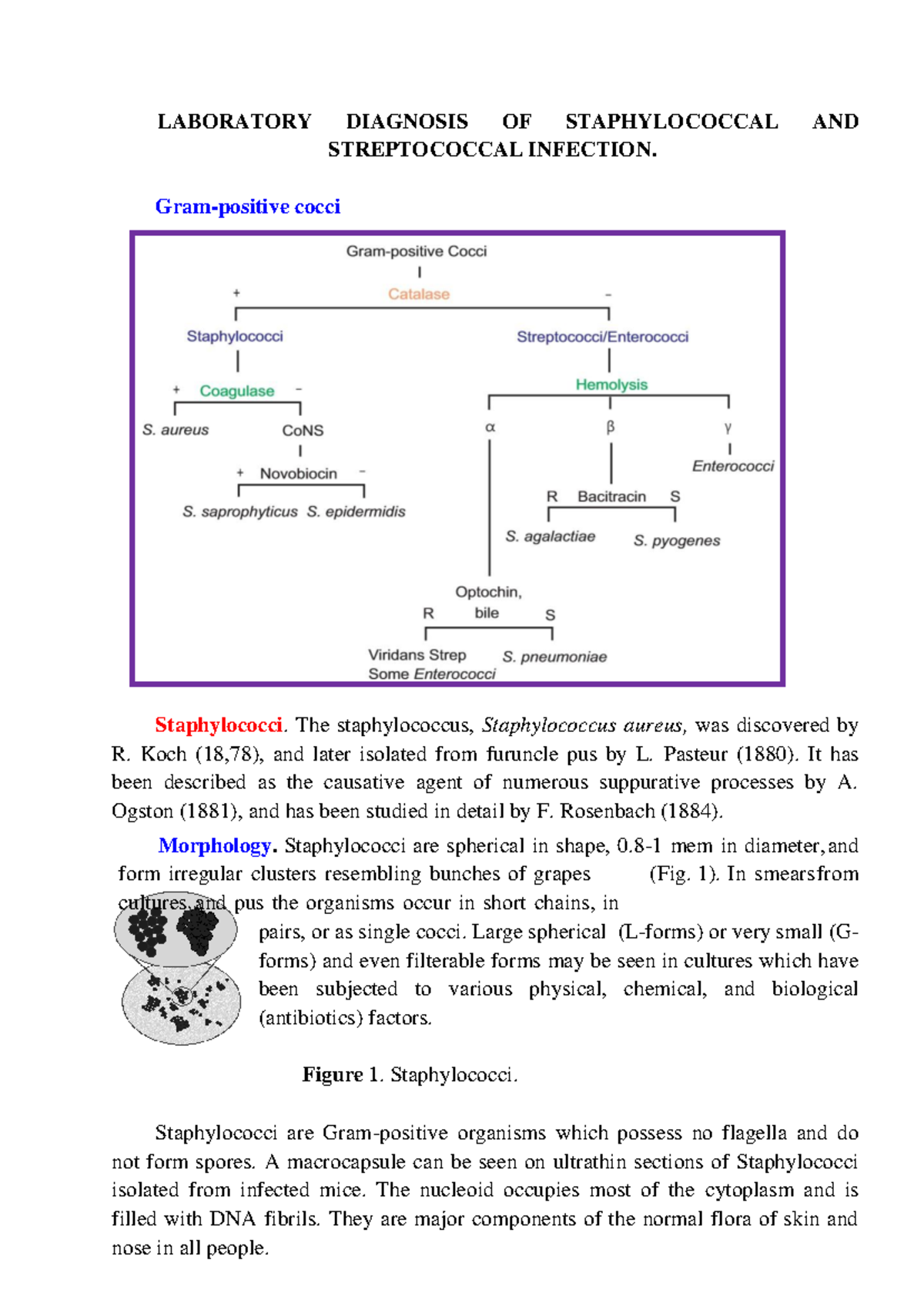 31.k Laboratory diagnostics of staphylococcal and streptococcal ...