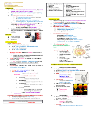 DNA Viruses - VIROLOGY – DNA Viruses MYCOLOGY & VIROLOGY – CLEOFAS ...