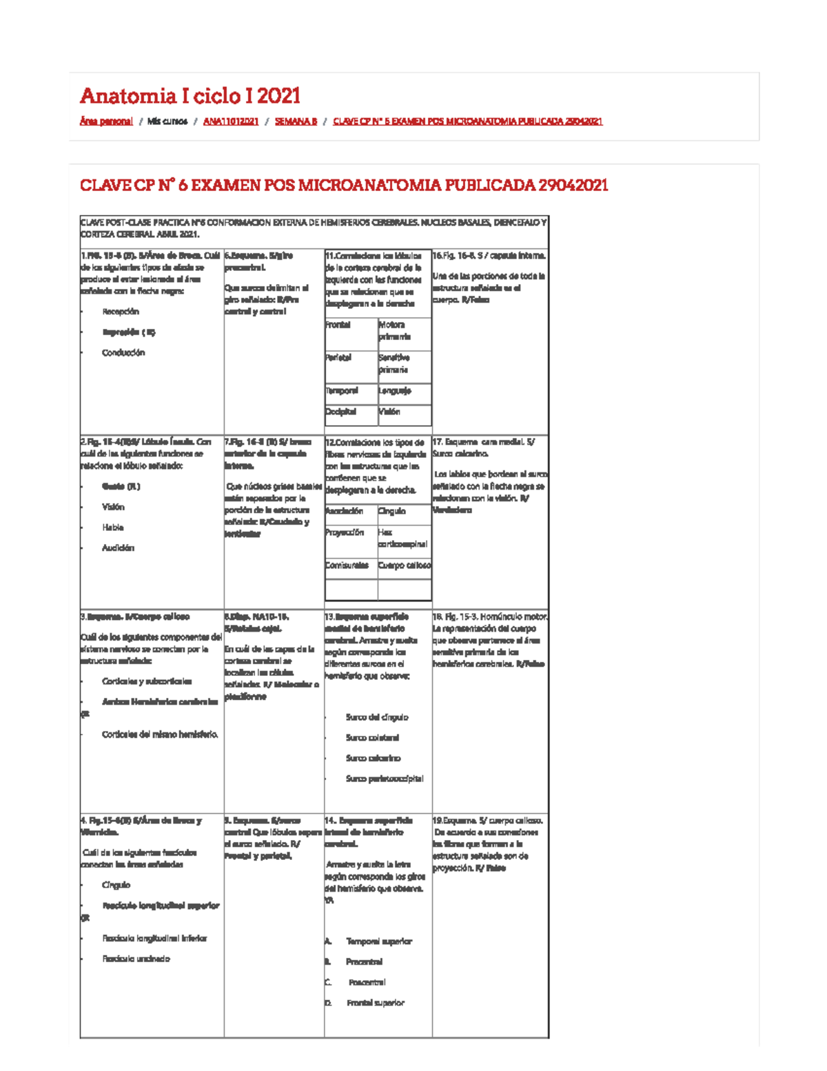 EXAMEN POST DE ANATOMIA I - Anatomía I - Studocu