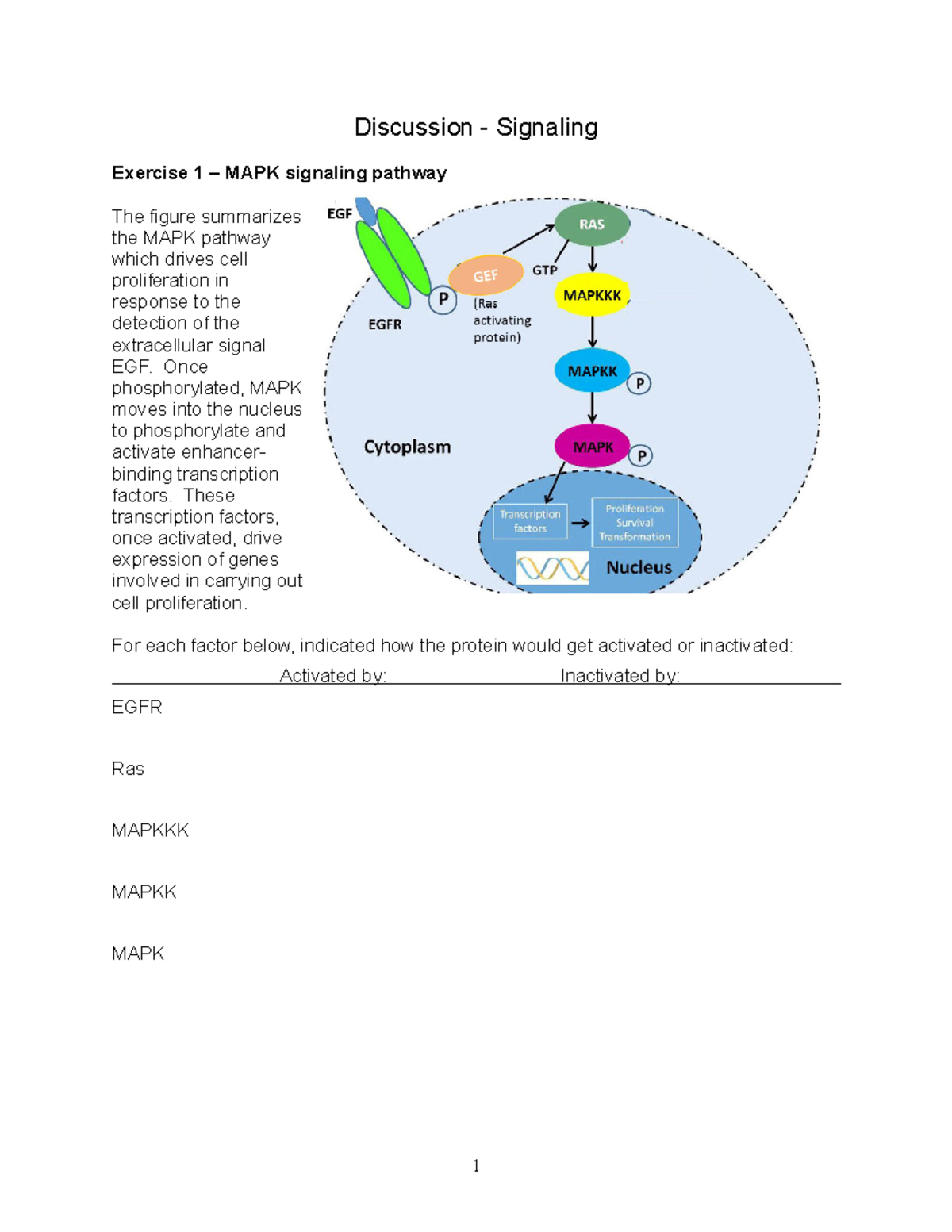Signaling discussion (word doc) - Discussion - Signaling Exercise 1 ...