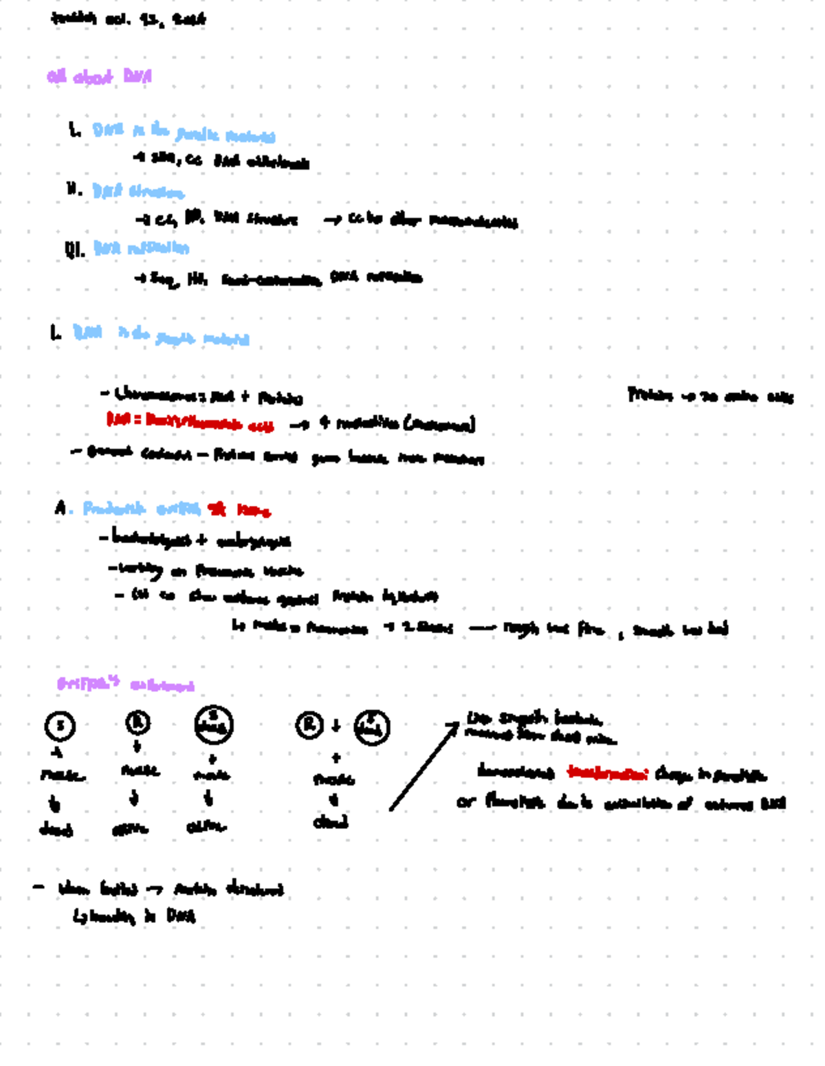 General Biology I DNA - Lecture notes for All about DNA - tuesday oct ...