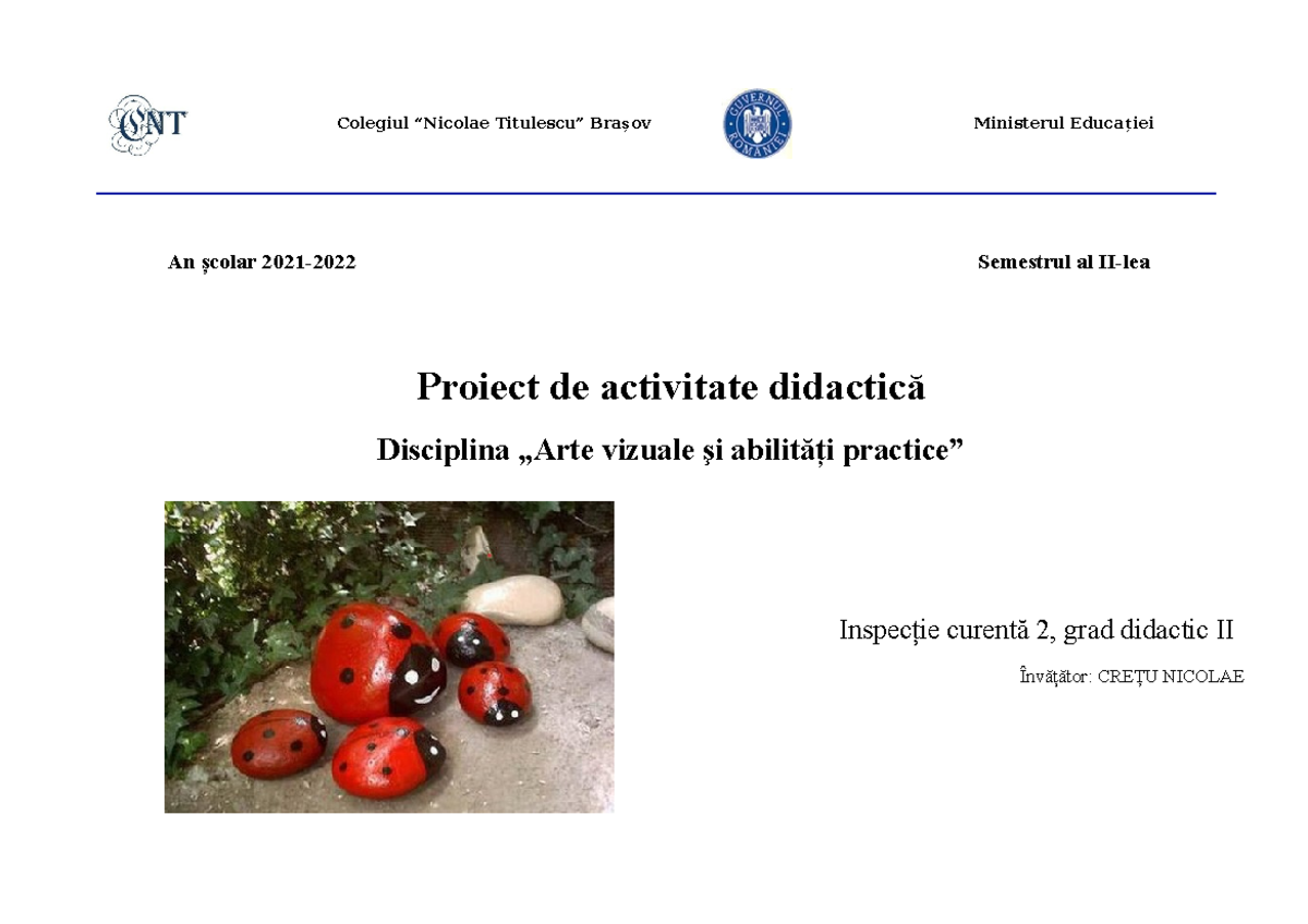 Proiect didactic AVAP - Pictura pe pietre - Colegiul “Nicolae Titulescu ...