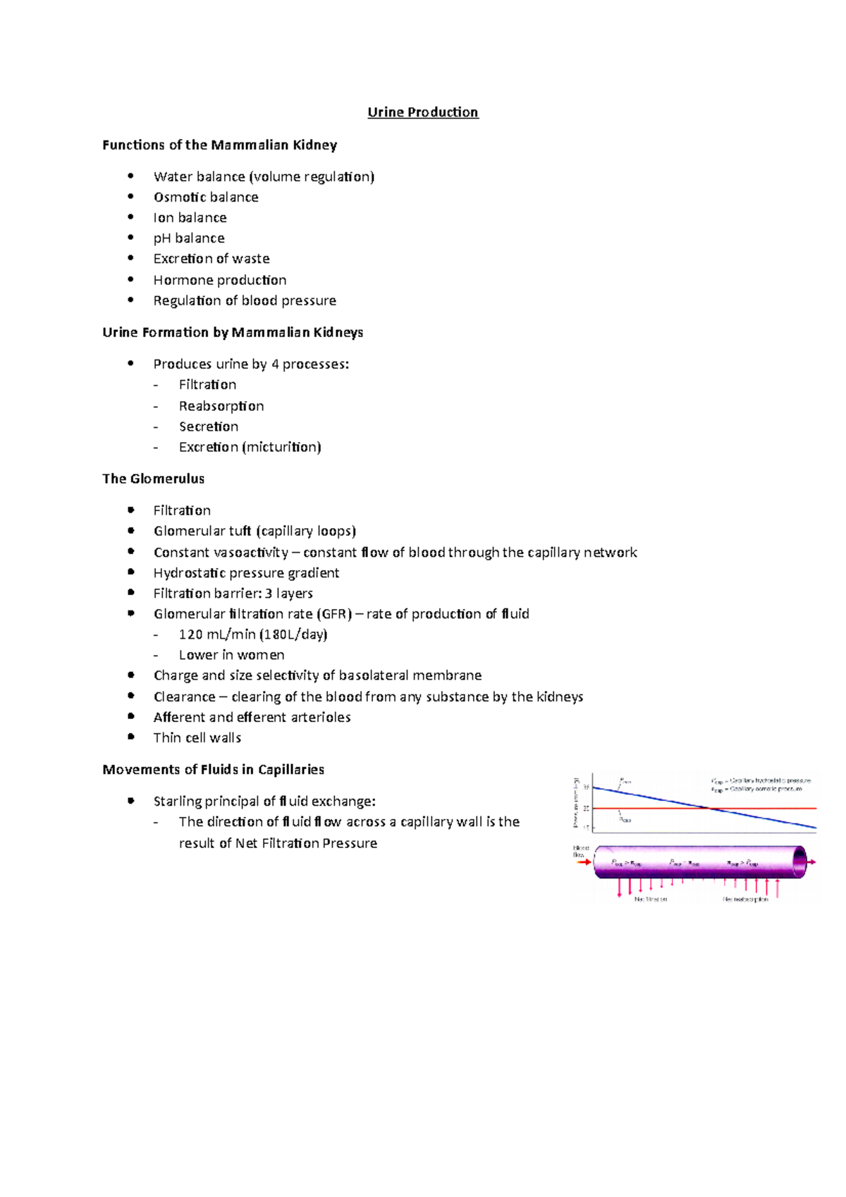 Urine Production Lecture Notes 1 Urine Production Functions Of The