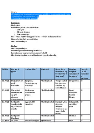 Reflekterende team - Reflekterende team 19 Presenter din utviklingsplan for gruppen. Den skal gi ...