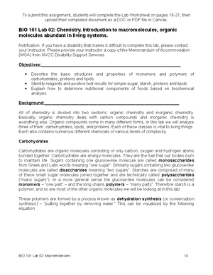 BIO 101 Lab 06, Enzymes - upload their completed document as a DOC or ...
