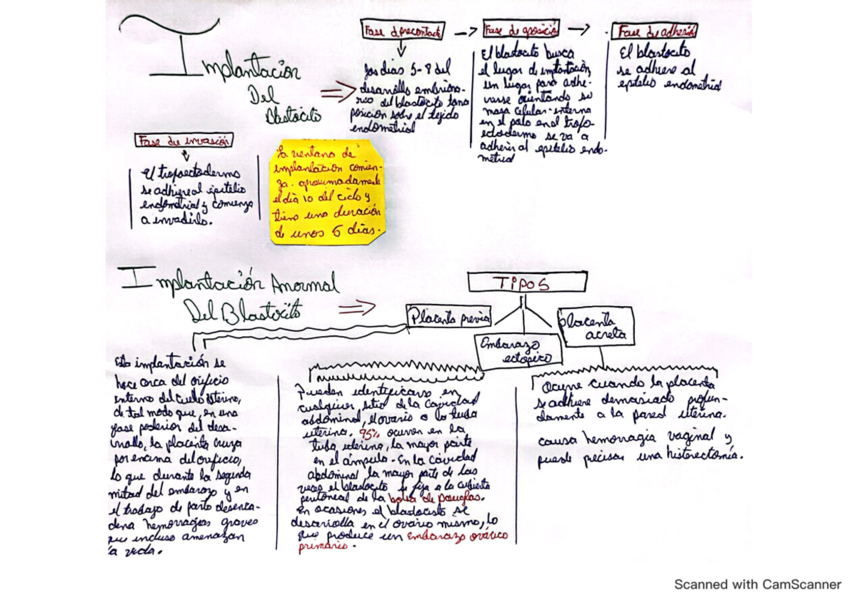 Tarea 2 de embrio - Fase d precontact Fase de aposite Fase du ...
