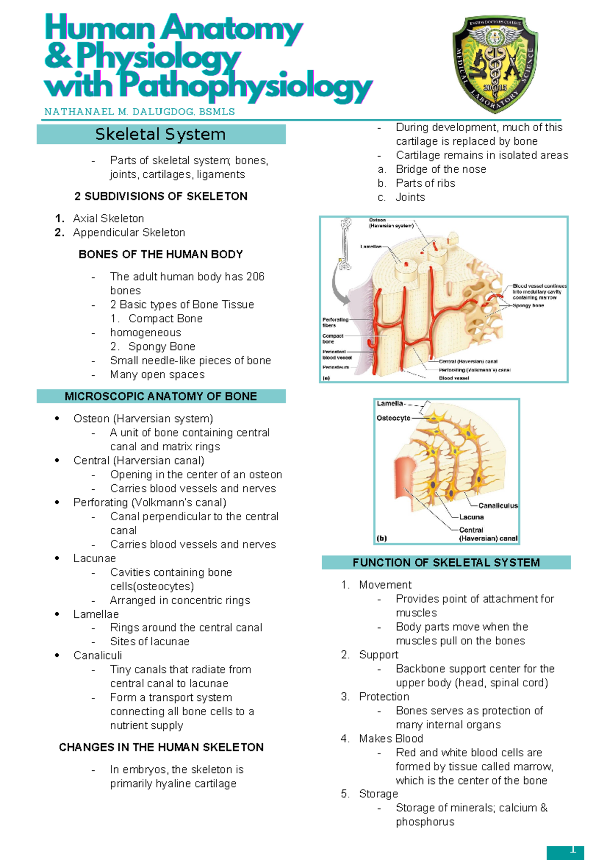 ANATOMY AND PHYSIOLOGY WITH PATHOPHYSIOLOGY_Skeletal System (notes ...