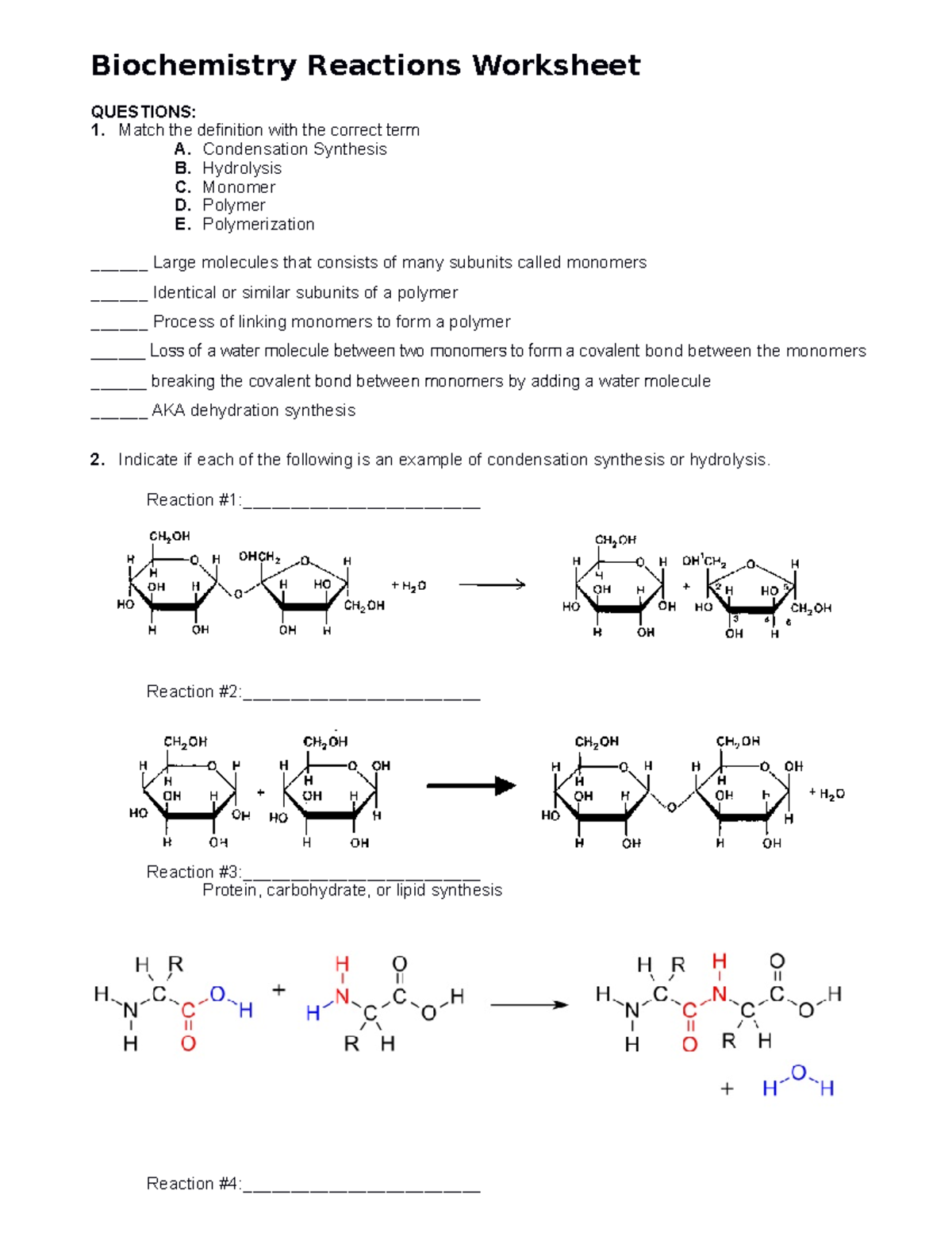 11 IB BIO - 2.1 - biochemical reactions worksheet - Biochemistry ...