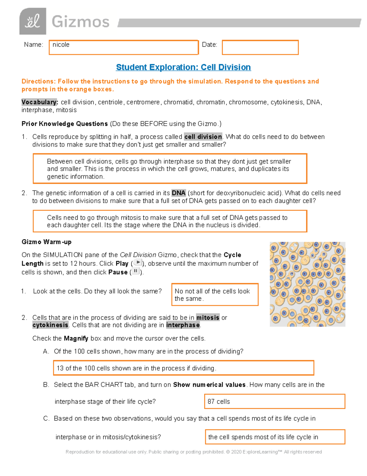 Cell Division Gizmo - Name: nicole Date: Student Exploration: Cell ...