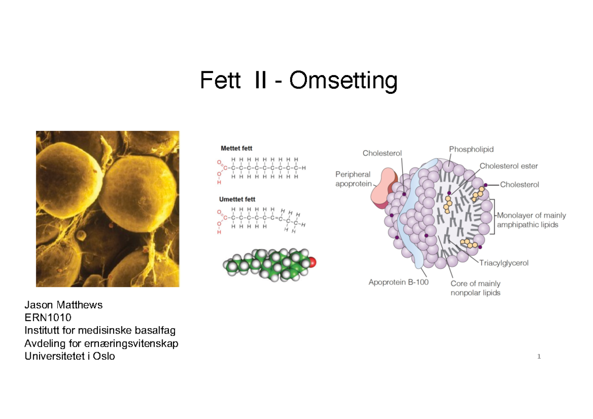 Lipider II JM 21H - tittel - Fett II - Omsetting Jason Matthews ERN ...