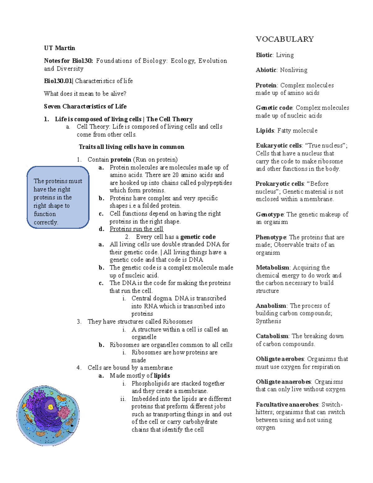Bio130 - Characteristics of life - UT Martin Notes for Bio130 ...