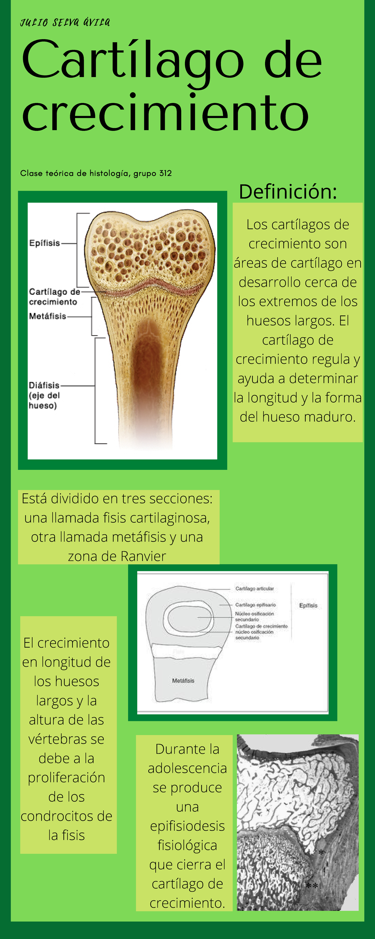 Cartílago de crecimiento - Cartílago de crecimiento Clase teórica de ...