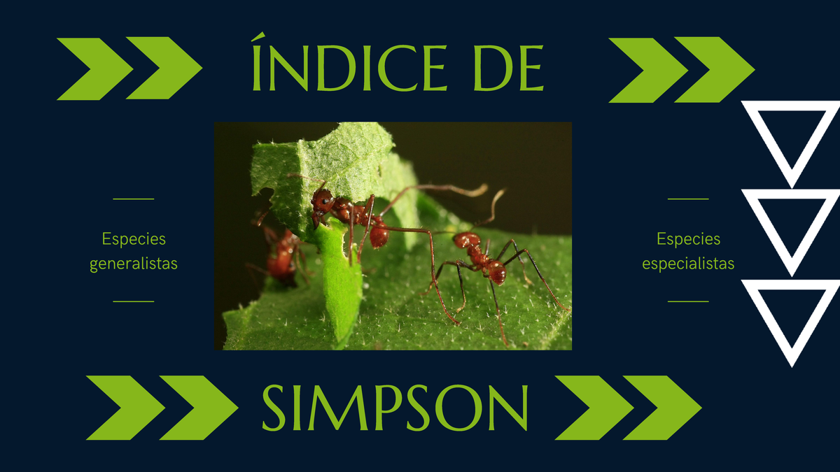 Ensayo Del Índice de Simpson (Ecología General) - Unalm - Especies ...