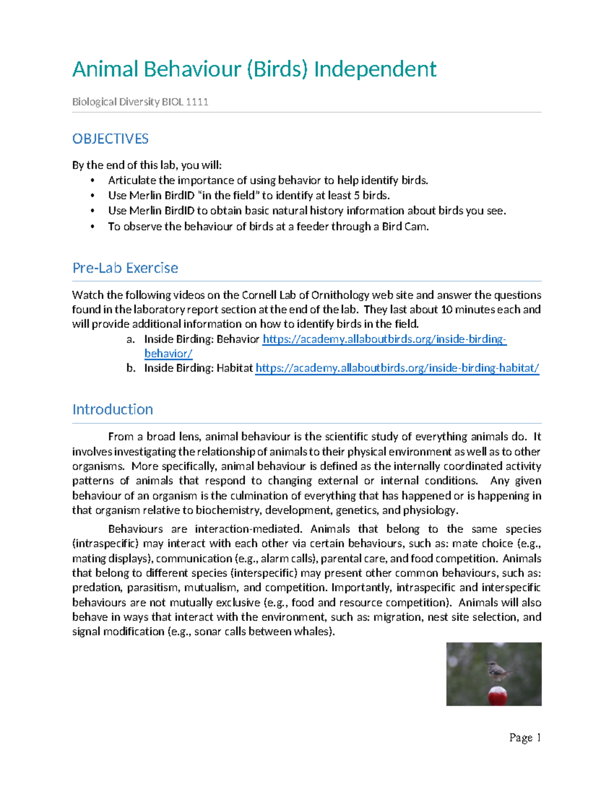 Animal Behaviour (Birds) Independent Lab - Animal Behaviour (Birds ...