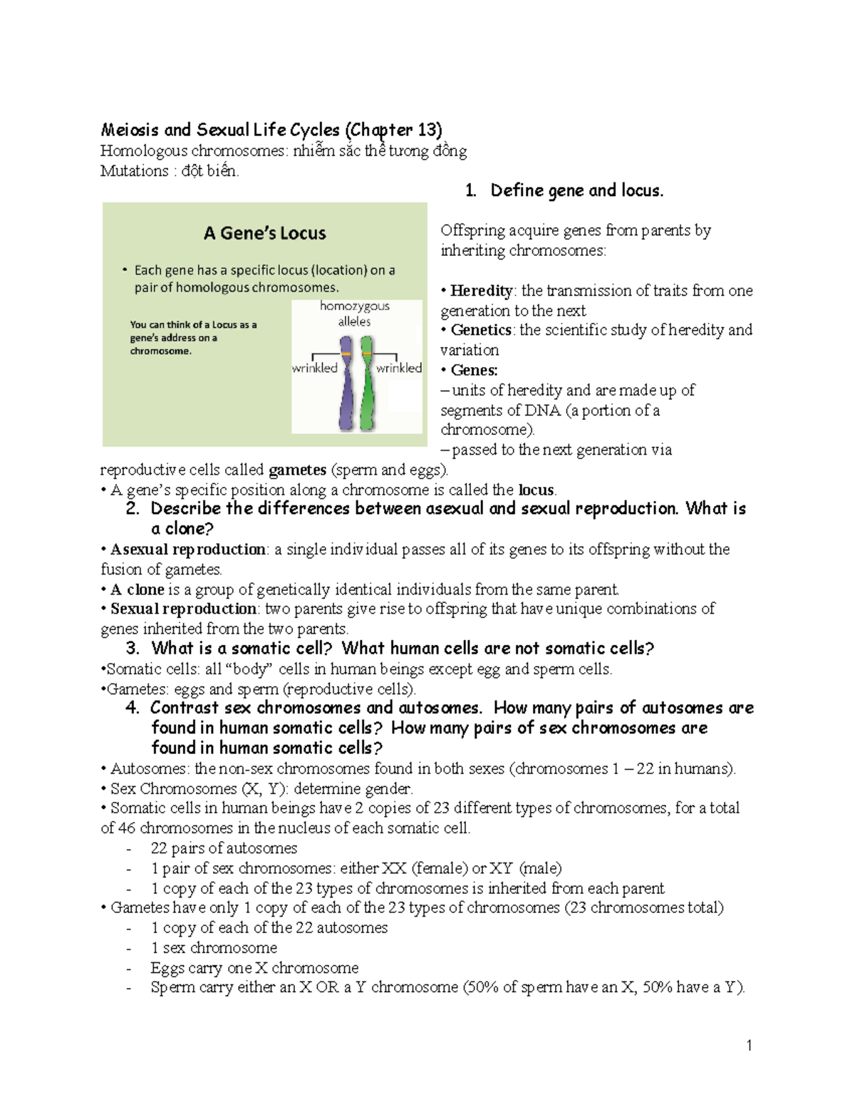 Chapter 13 : Meiosis and Sexual Life Cycles - Meiosis and Sexual Life ...