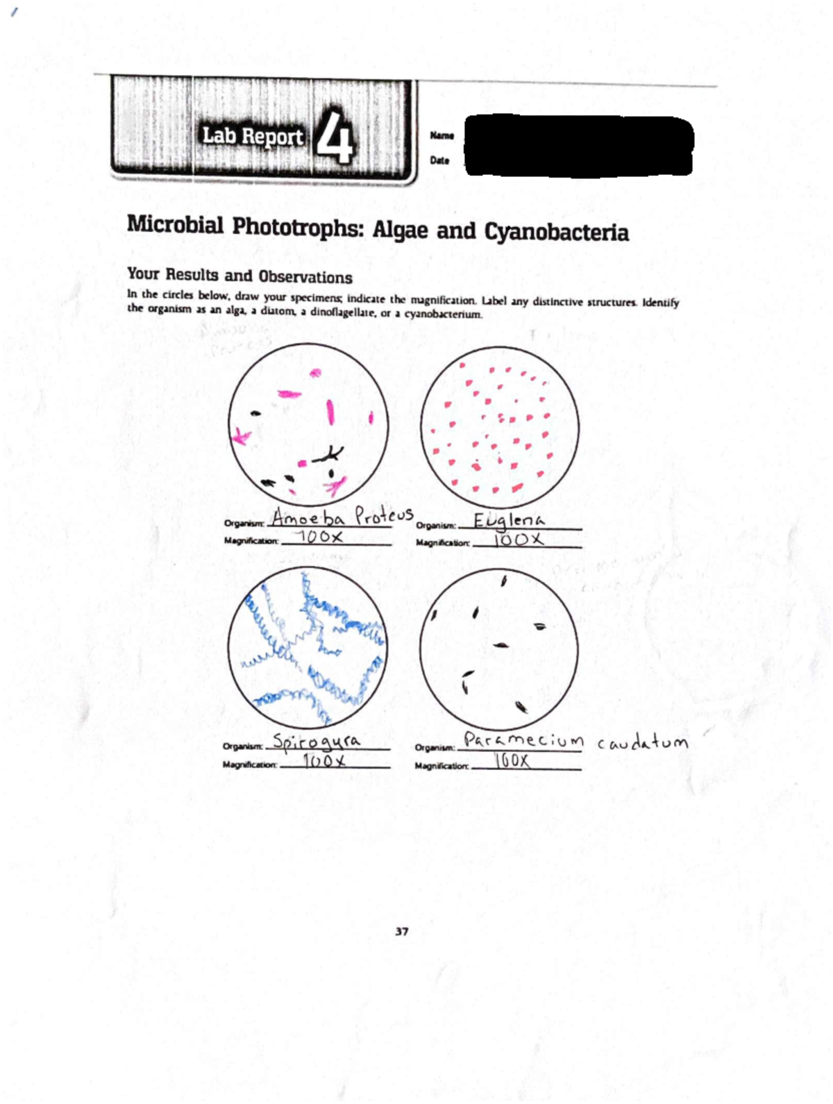Doc Jun 2 2023 3 45 PM Lab Report 4 BCS 200 Studocu