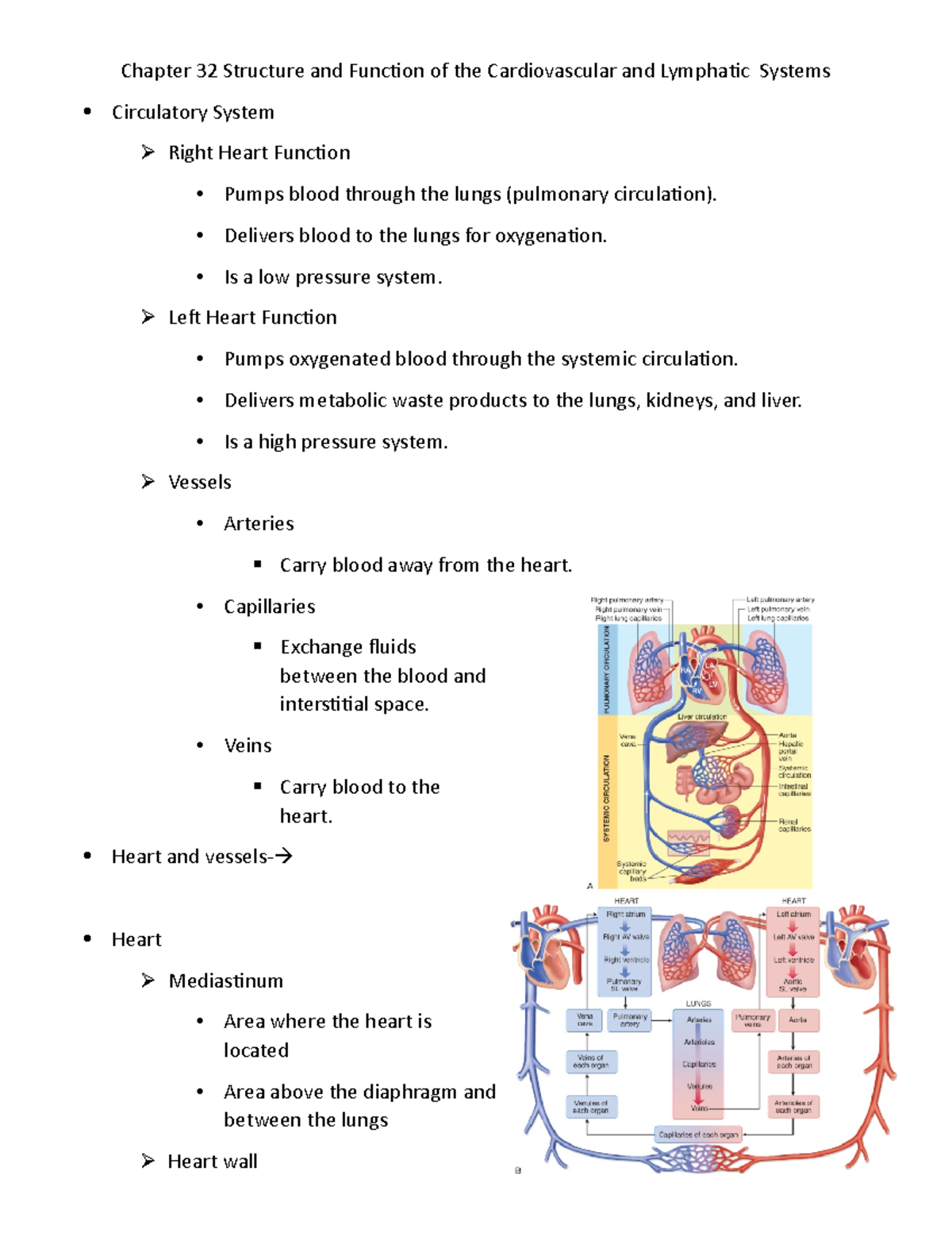 Chapter 32 Structure and Function of the Cardiovascular and Lymphatic ...
